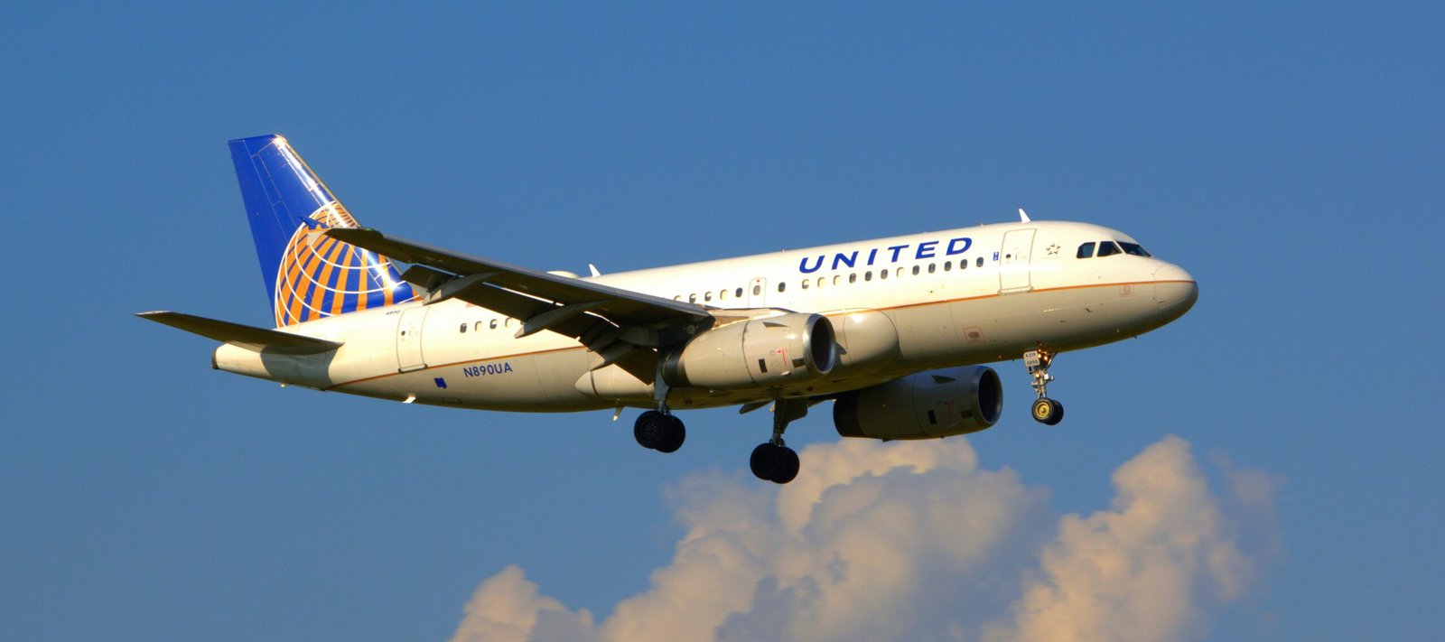 A Close Call in the Skies: The United Airlines Flight UA82 Emergency